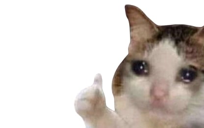 Barbie Collection – Code Blue Memes