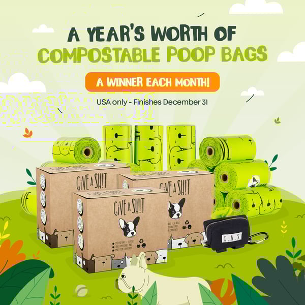 Give a Sh!t, eco-friendly products for pets – Give A Shit - Earth ...