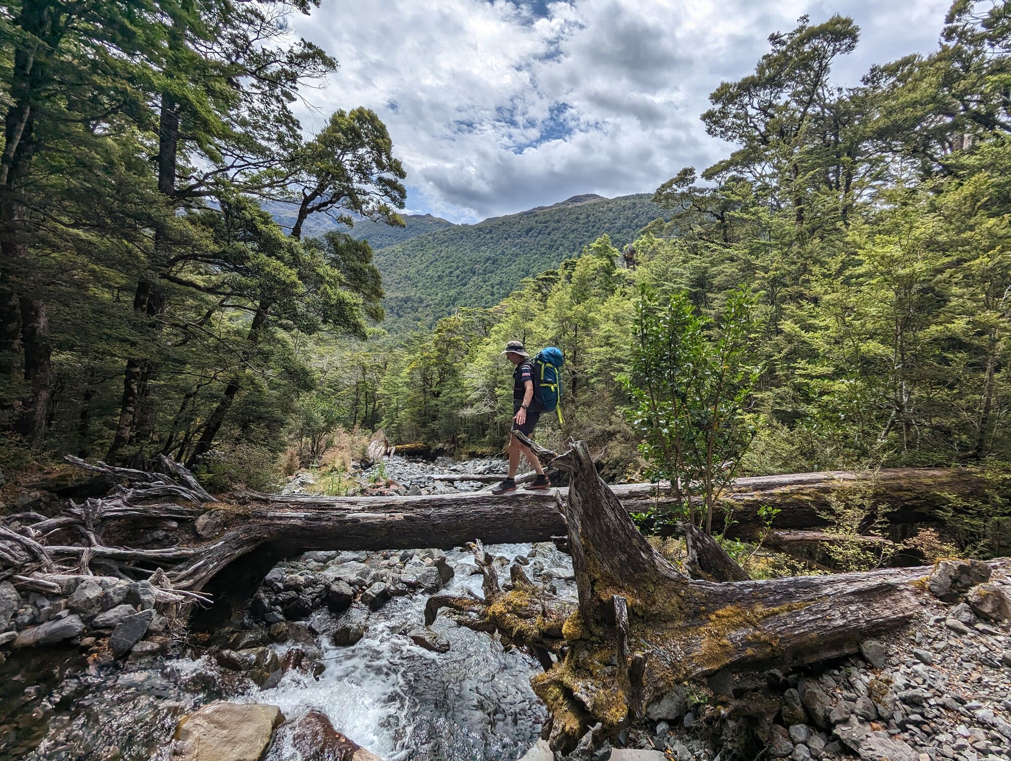 Creepers new releases sign-up page