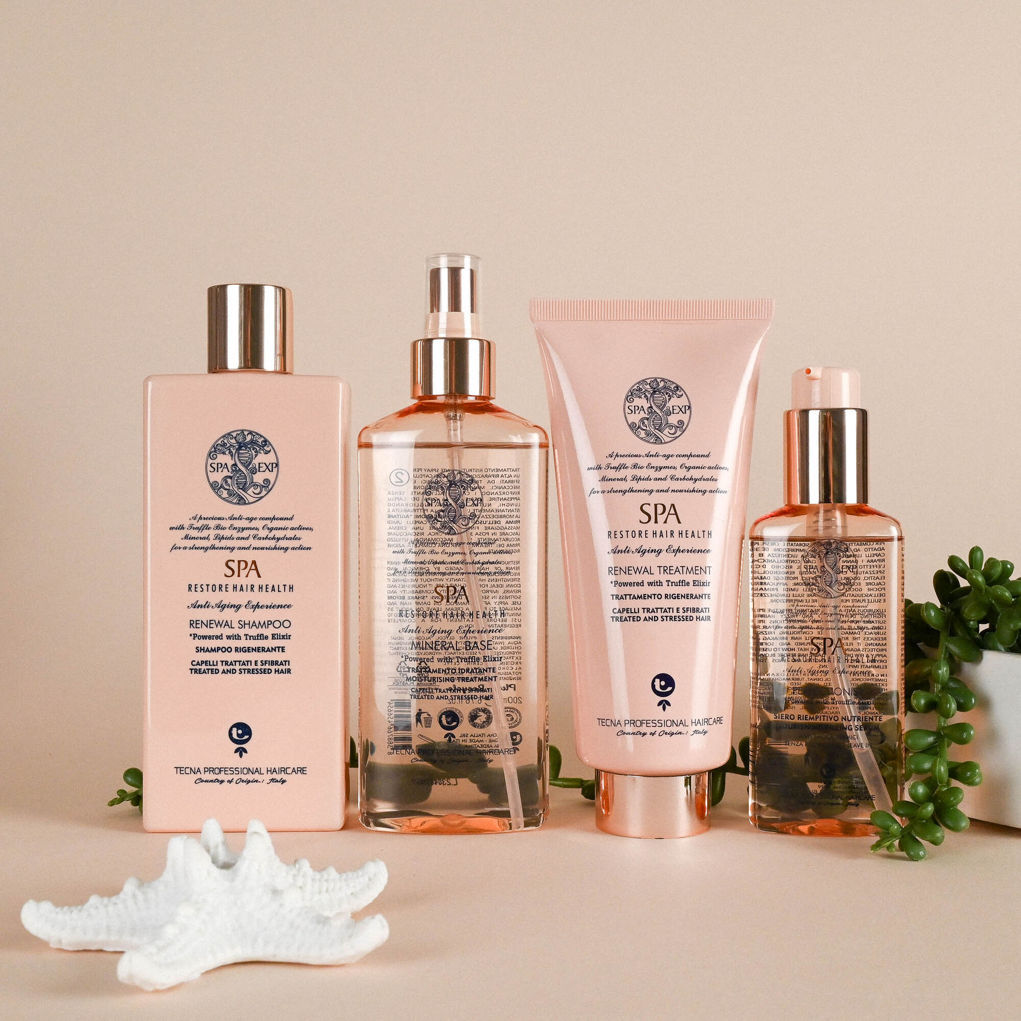 Profesionalams landing page