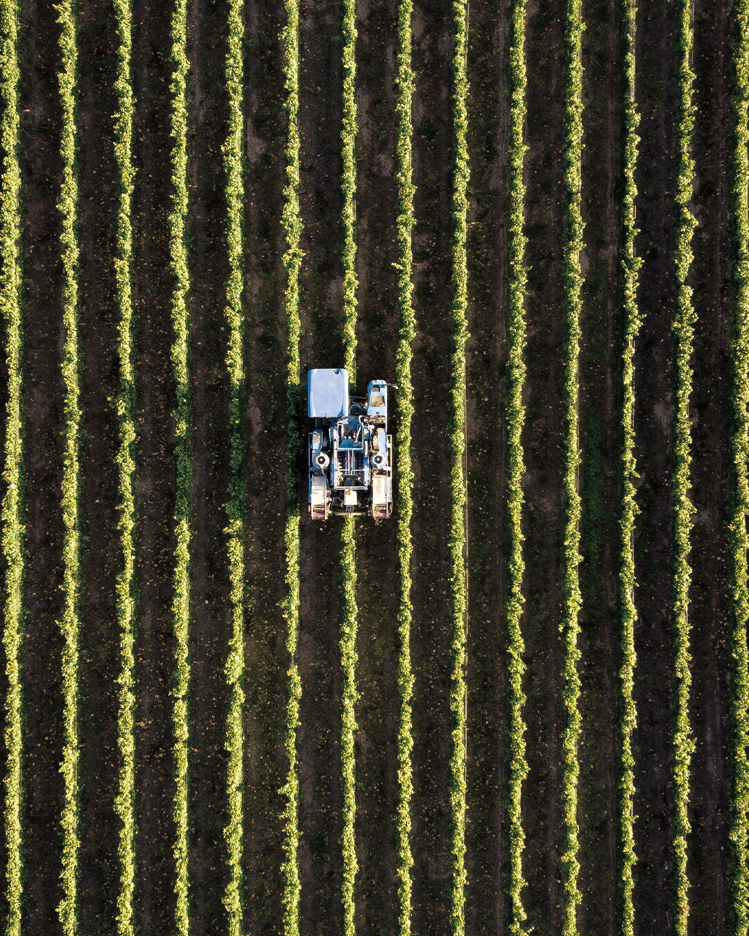 Subscription form link