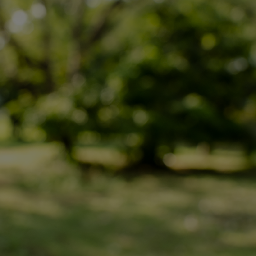 Robin Giveaway Bundle